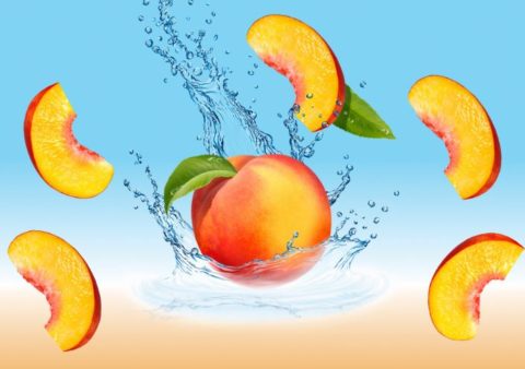 Ron Berg - Mendola Artists Representatives