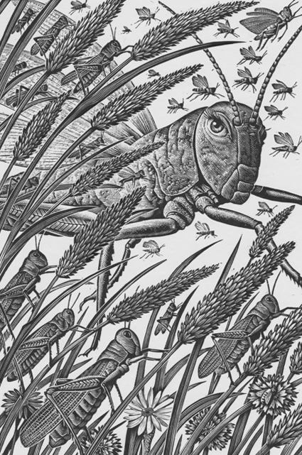"Peculiar" Illustrations by Andrew Davidson - Mendola Artists ...