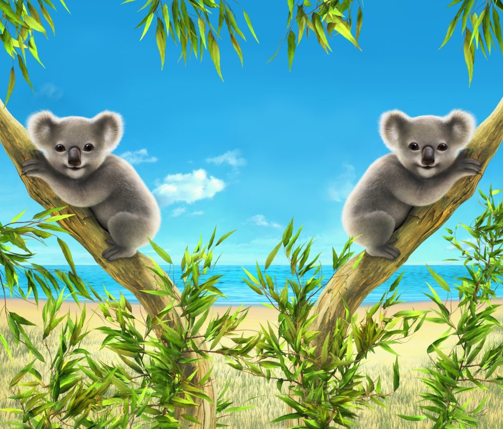 Kim Neale - Mendola Artists Representatives