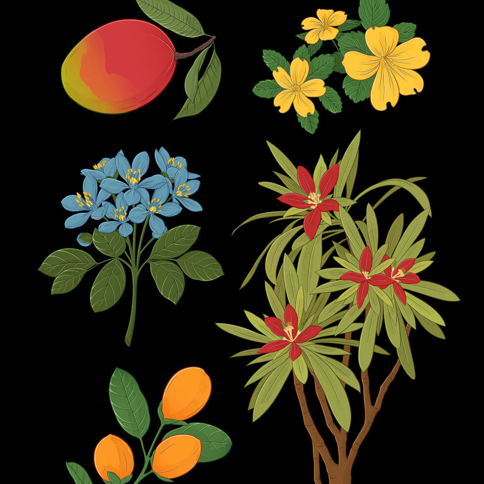 Stephanie Singleton | Mendola Artists Representatives