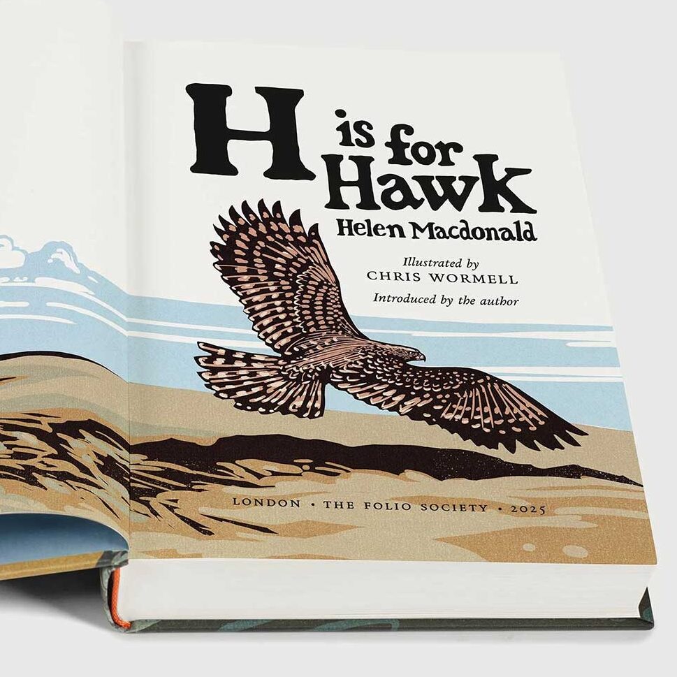 chris-wormell-imgi_19_hawk_05-aspect-ratio-300-300 - Mendola Artists ...